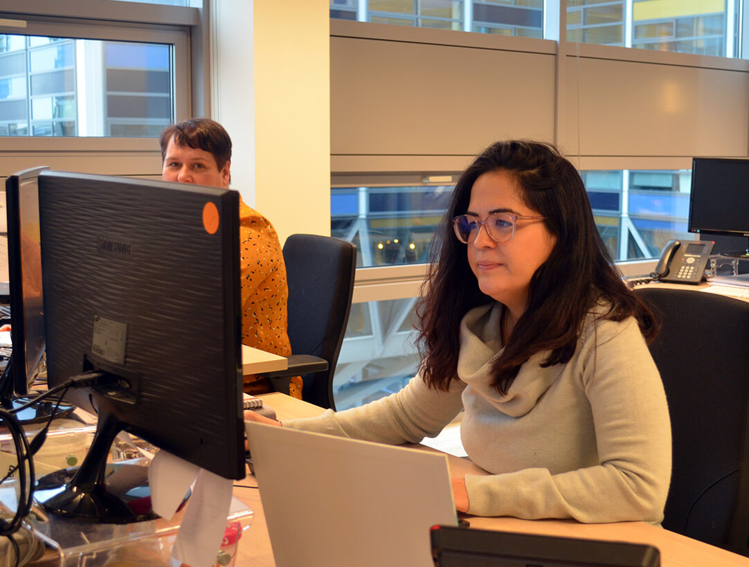 NEBuffer™ Set (r1.1, r2.1, r3.1 and rCutSmart™) - BIOKÉ